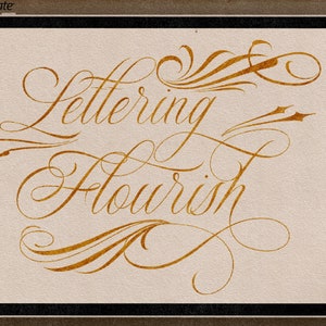 The Flourish Studio, Custom Brushes for Procreate - Etsy