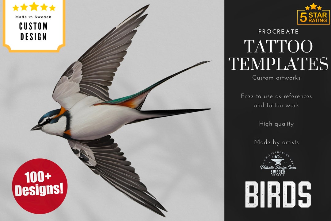 The Bird Project - Bird References, Designs and Templates for Procreate ...