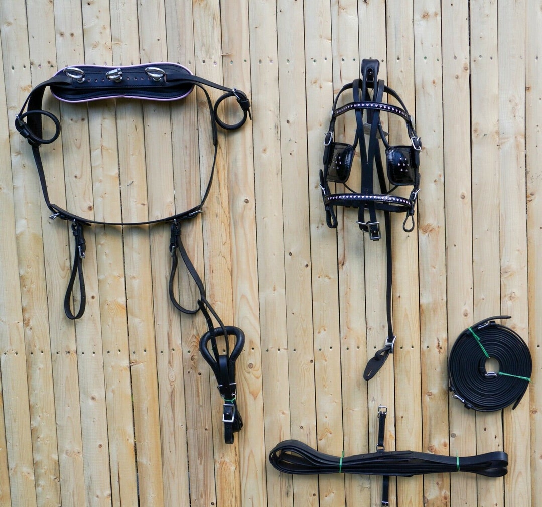 Miniature Horse Black Leather Heart Design Driving Harness Set - Etsy