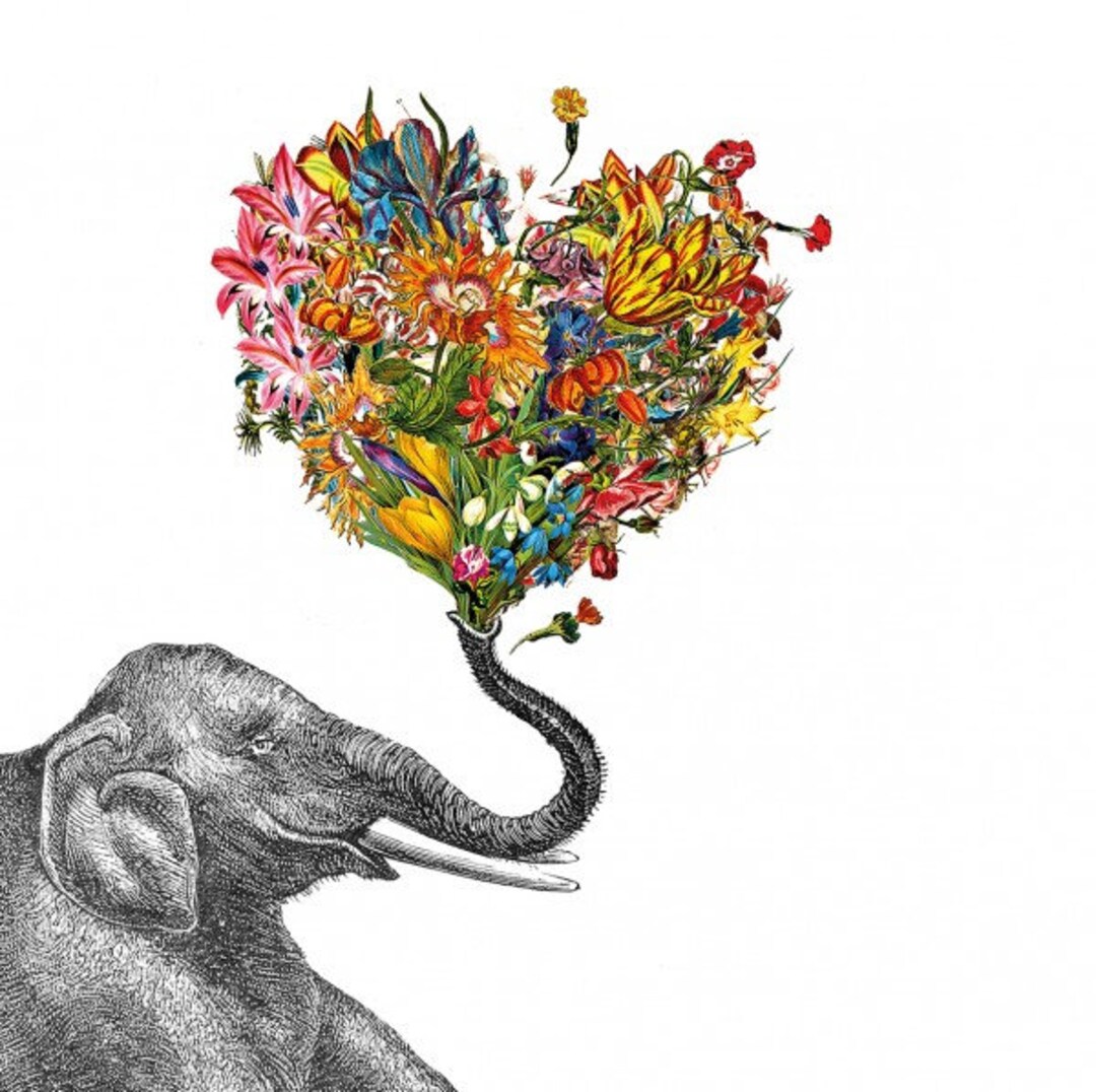 4 Individual Elephant Decoupage Napkins. Floral Elephant Paper Cocktail ...