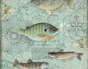 Fish Decoupage Paper - Etsy
