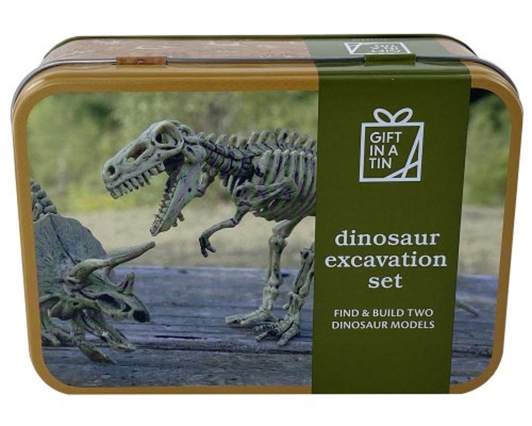 Kids Craft Kit, Excavate Your Own Dinosaur Kit, Kid's Craft, Children's ...