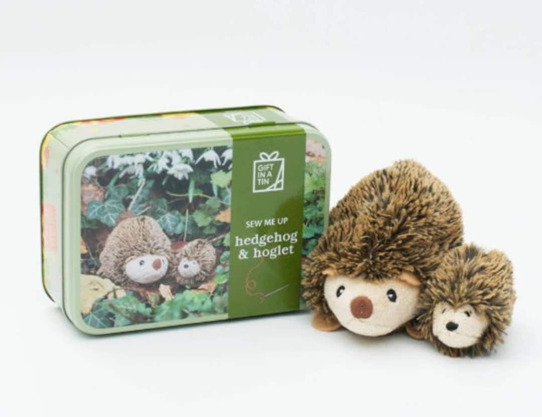 Kids Craft Kit - Kids Learn to Sew a Hedgehog & Hoglet - Kids Craft Kit ...