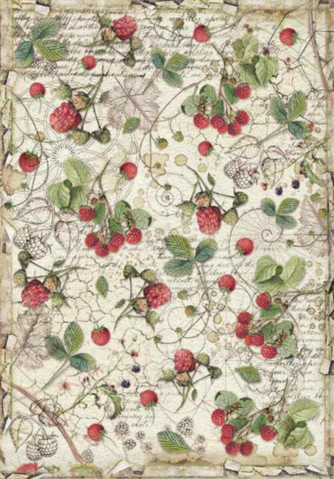 A4 Rice Paper Sheet. Vintage Forest Raspberry & Geometric Decoupage ...