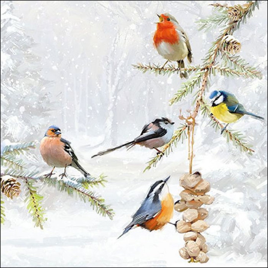 4 Individual Winter Birds Decoupage Napkins. Christmas Craft Napkin for ...