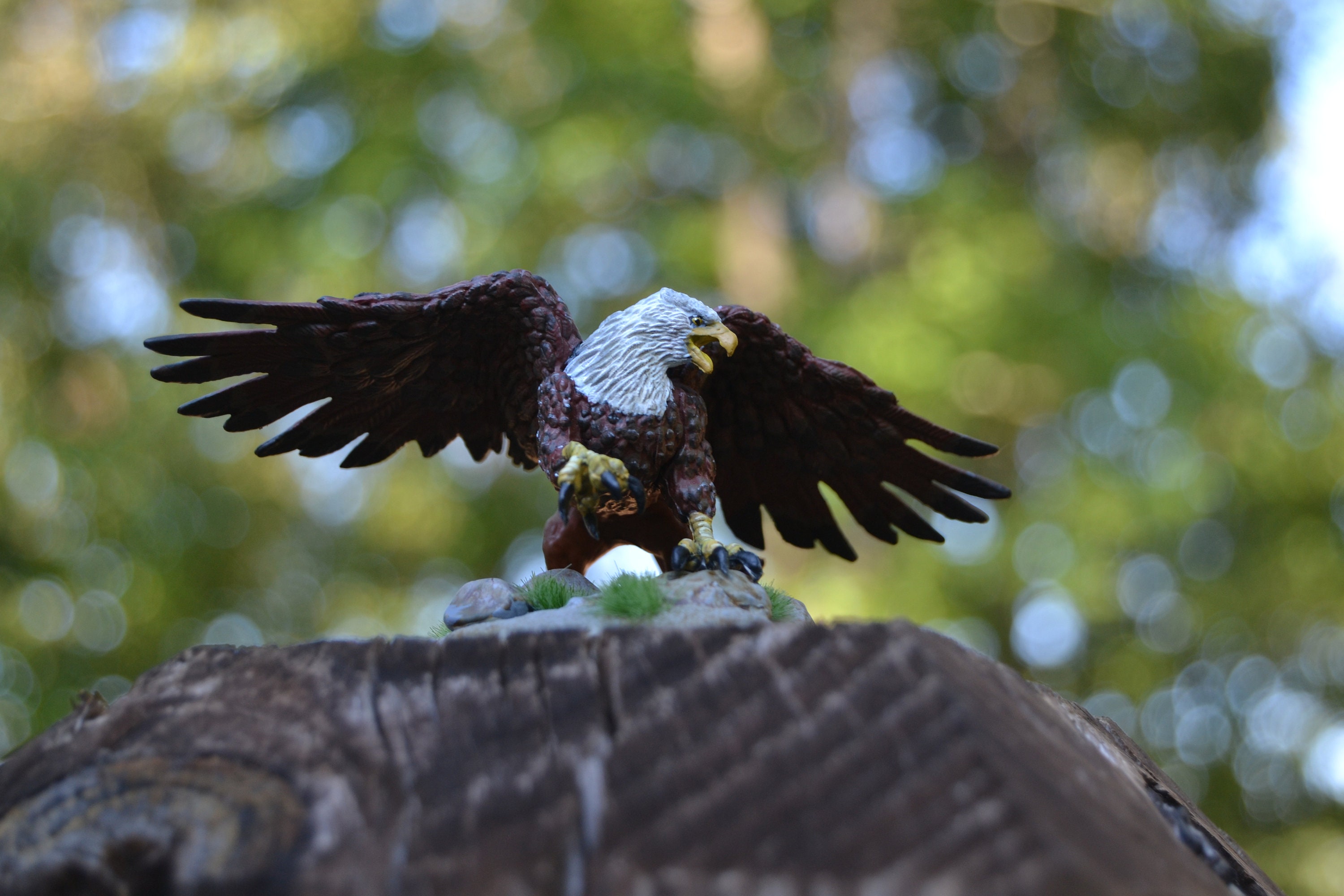 Griffon Painted Dnd Miniature - Etsy