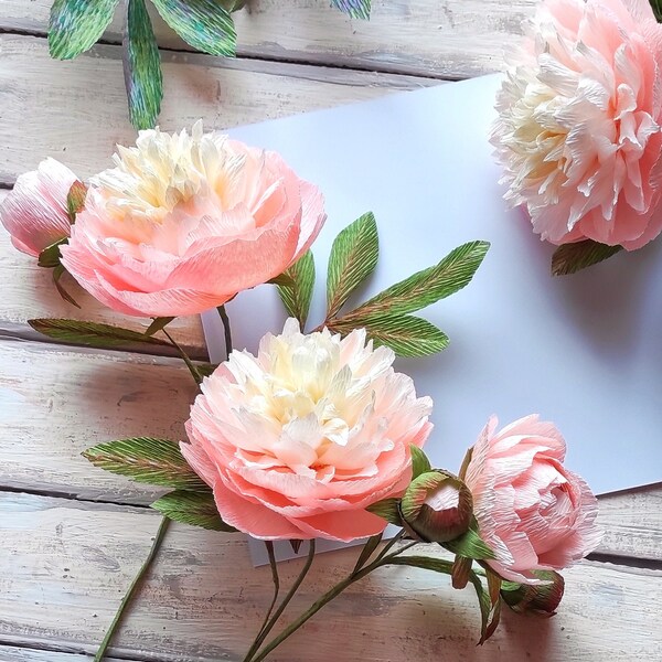 Paper Peonies - Etsy