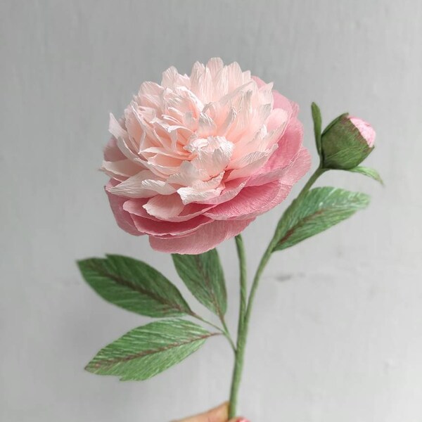 Paper Peony - Etsy