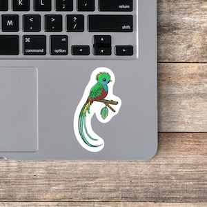 Quetzal Bird Guatemala Sticker , Guatemala Gift Ideas Guatemala ...