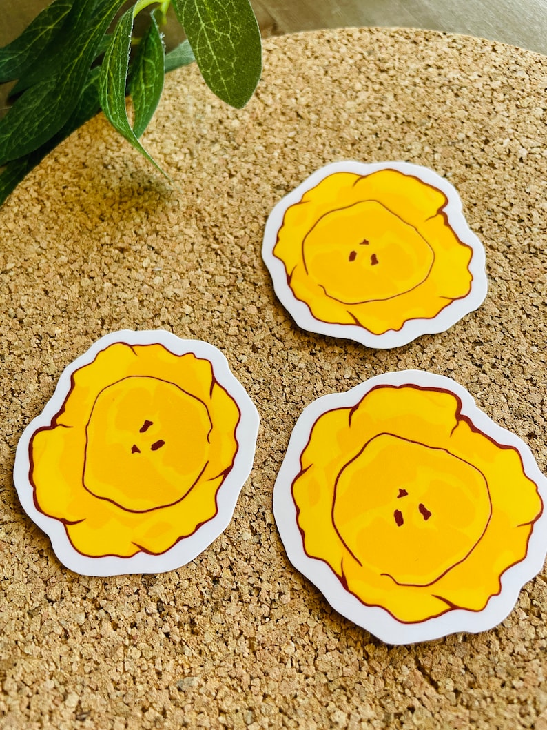 Set of 3 Patacones | Tostones | Plantain Sticker | Platano Macho - Etsy