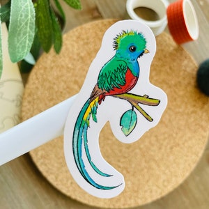 Quetzal Bird Guatemala Sticker , Guatemala Gift Ideas Guatemala ...