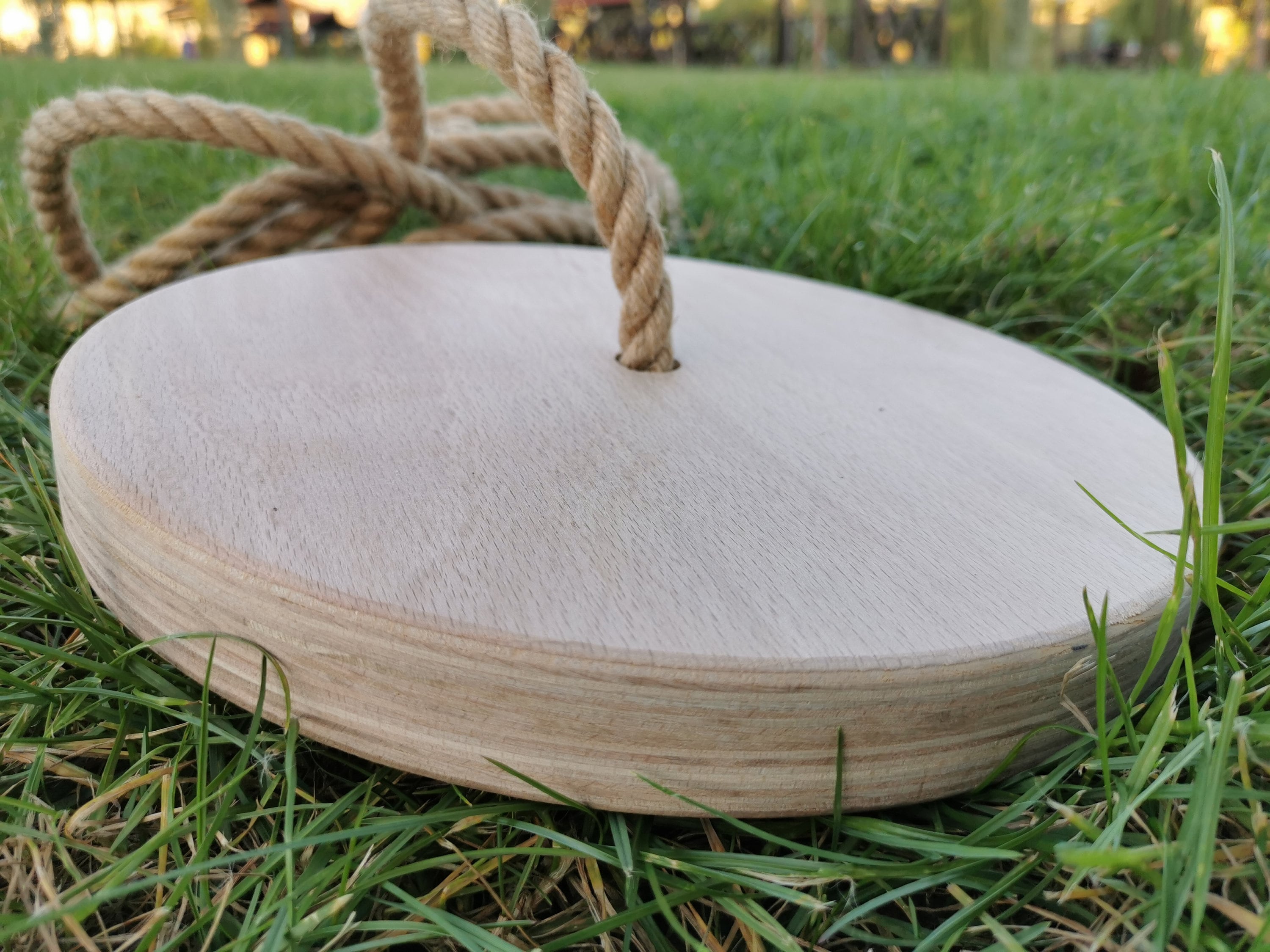 Wooden Monkey Swing Disc Tree Swing Rope Disc Swing - Etsy