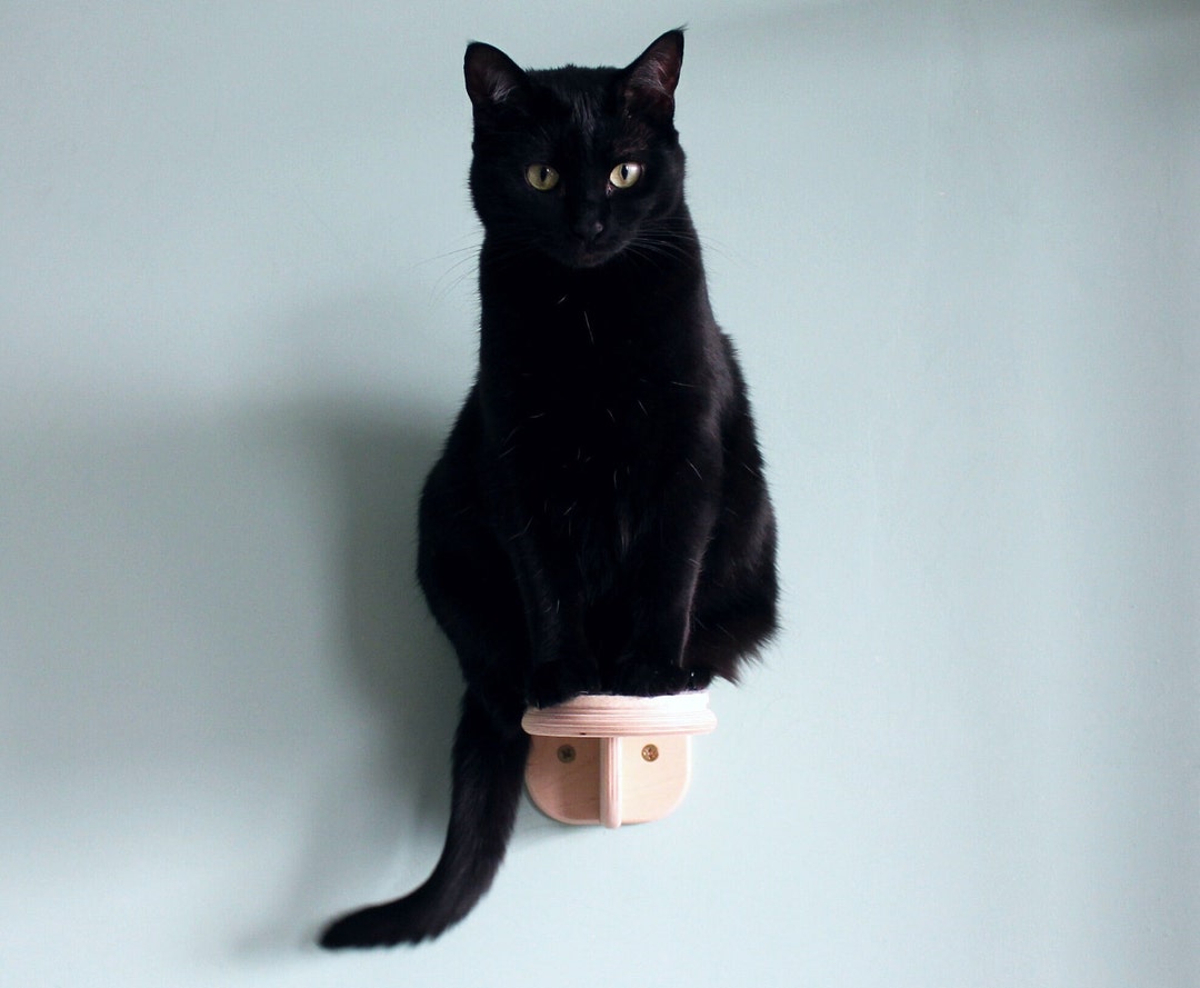 Wall Mounted Cat Climbing Steps Stairs, Floating Cat Ladder, 1 Custom ...