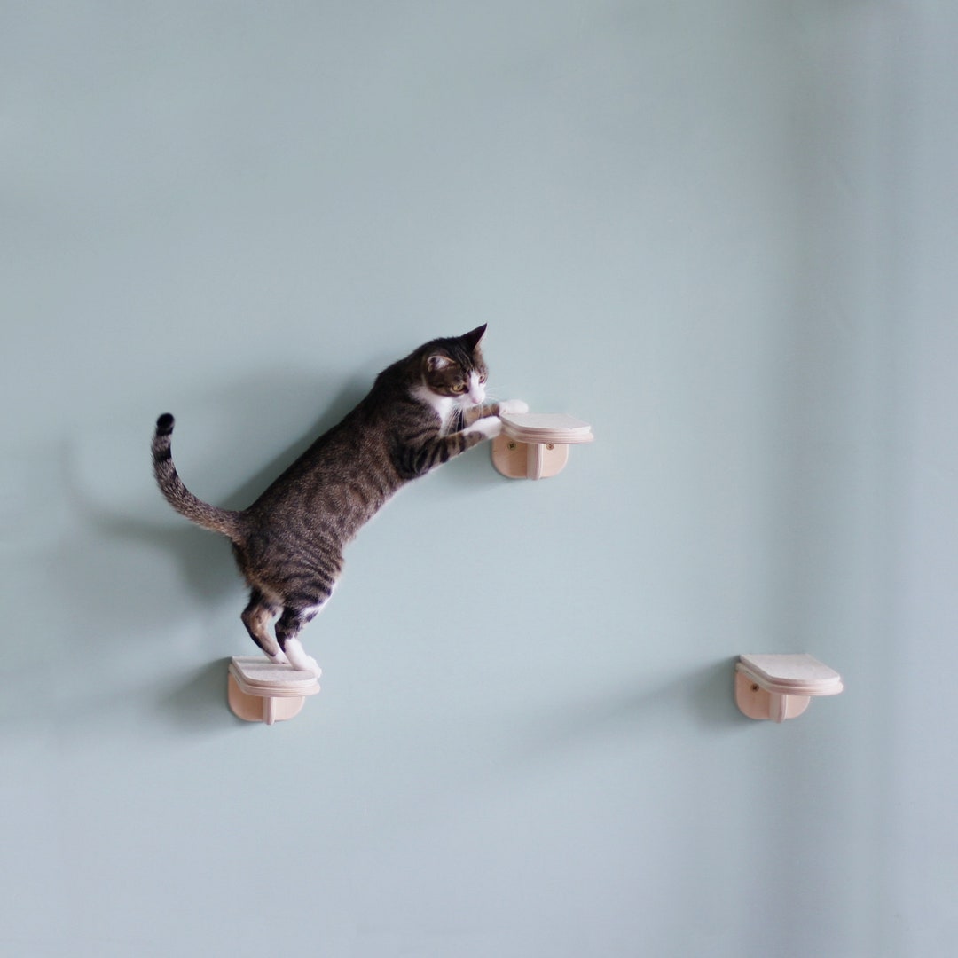 Set of 3 Cat Steps for Wall, Wall Mounted Cat Climbing Steps Stairs ...