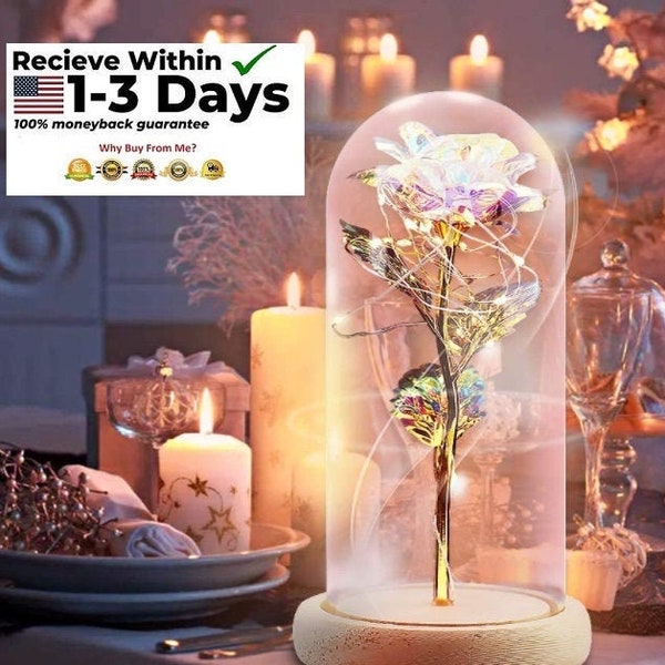 Rose in Glass Dome - Etsy