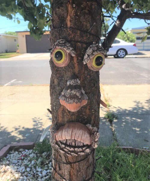 Tree Sculpture Tree Art Face Art Glow in Dark Eyes Fun Back | Etsy
