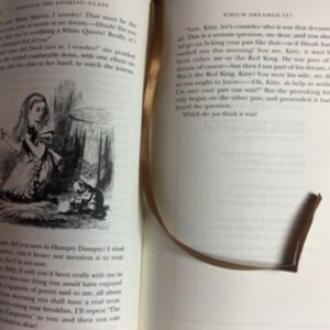 Alices Adventures in Wonderland Fairy Tale Stories Alice in Wonderland ...