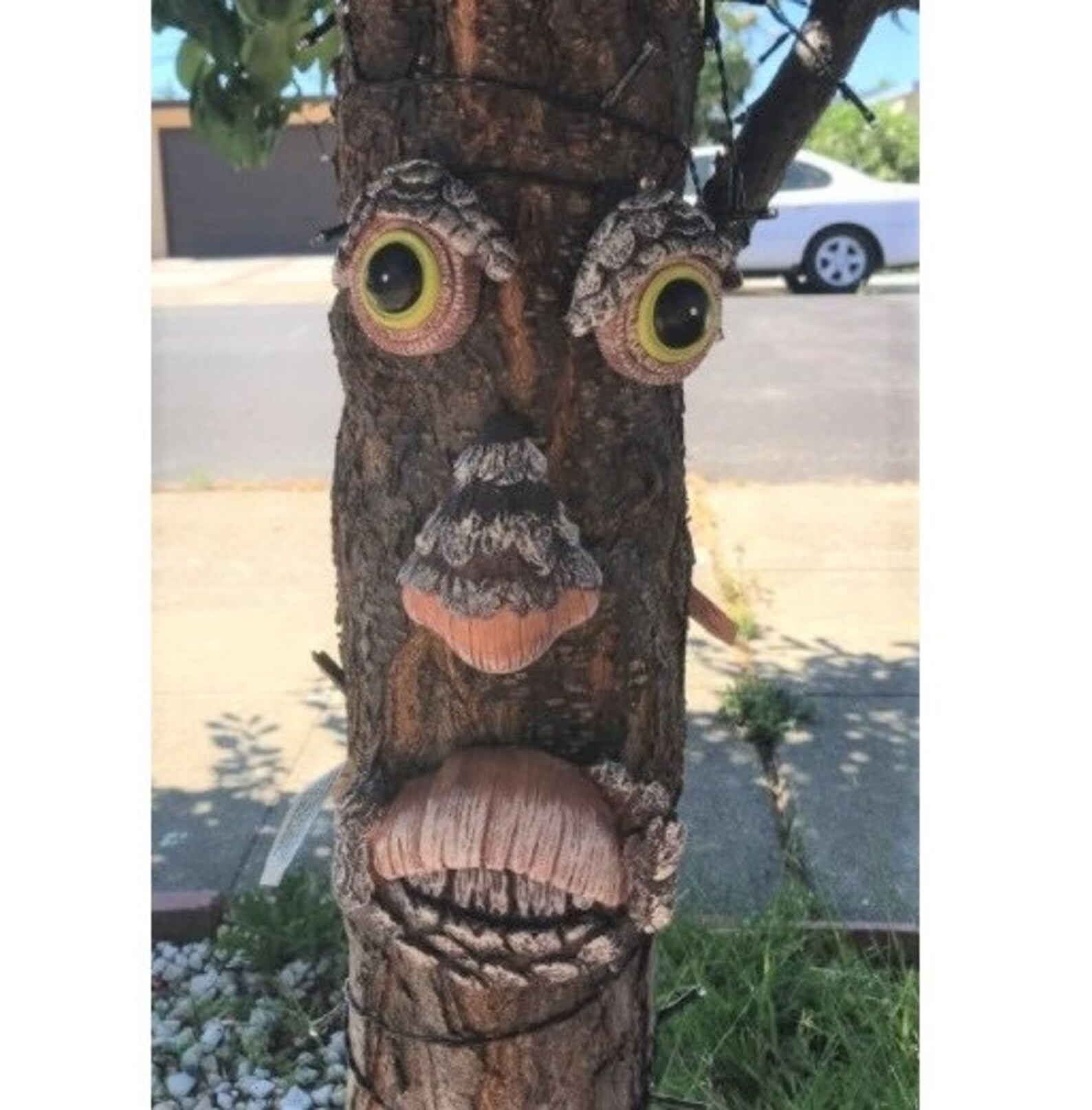 Tree Sculpture Tree Art Face Art Glow in Dark Eyes Fun Back | Etsy