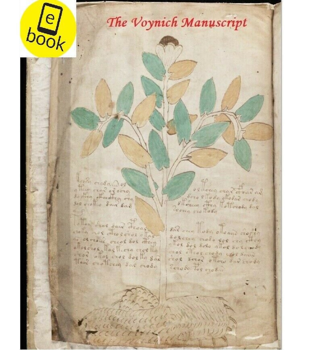 Voynich Manuscript Pdf High Resolution