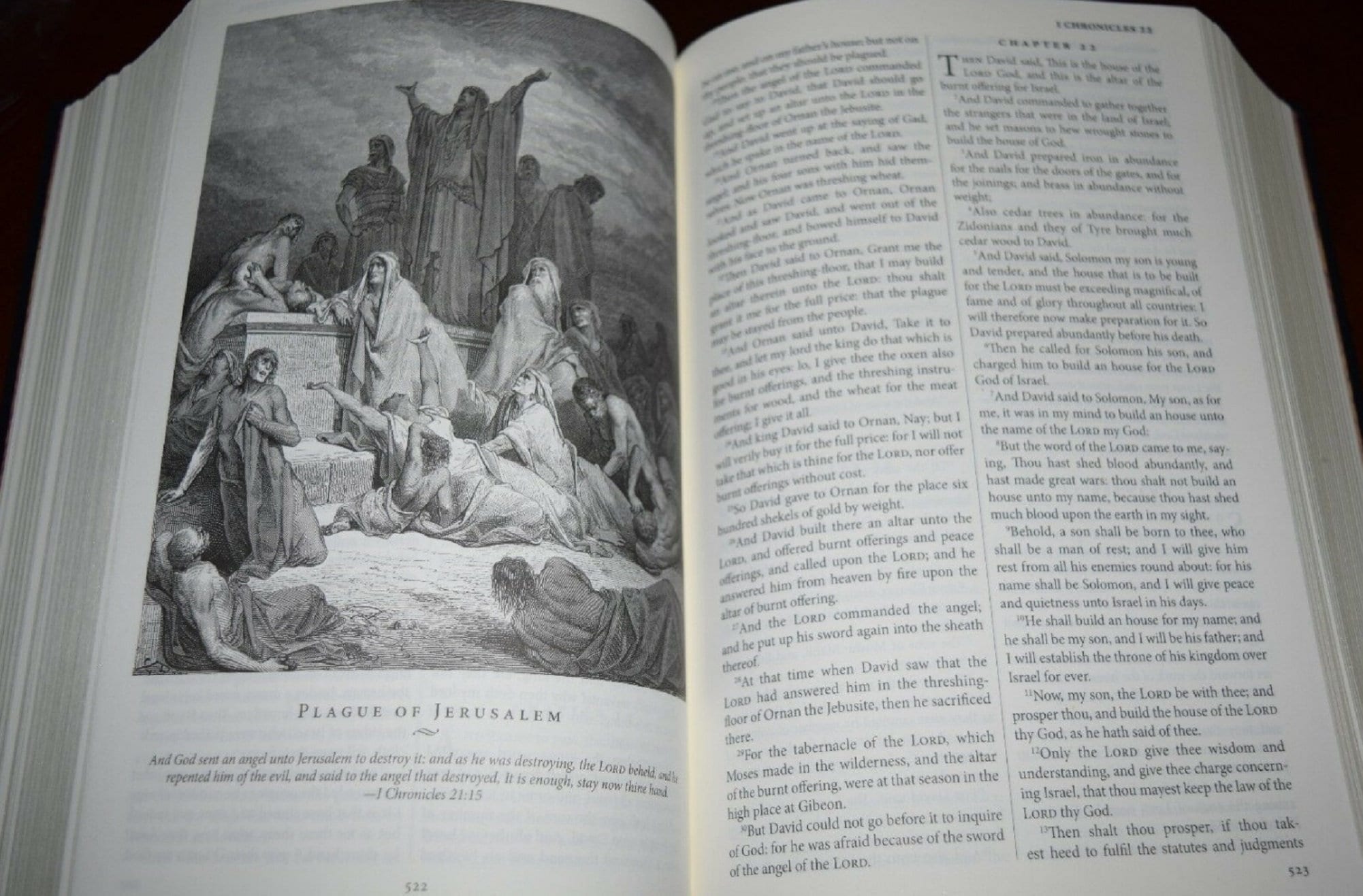 King James Holy Bible Gustave Dore Illustrated KJV Version - Etsy