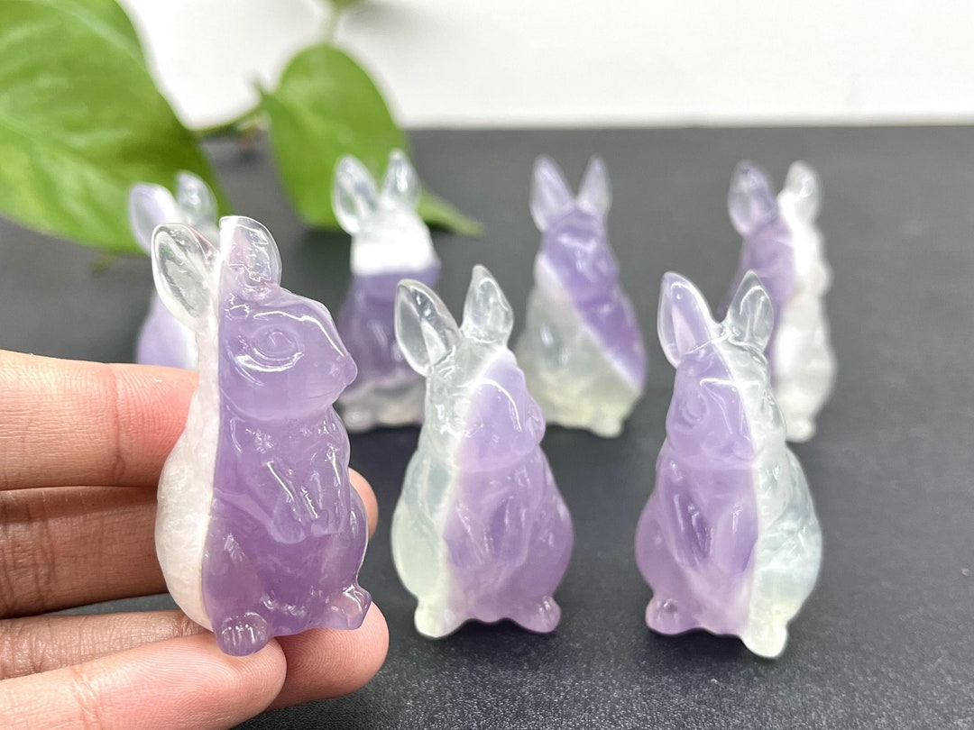 2 Natural Fluorite Carved Rabbitcrystal Rabbit - Etsy