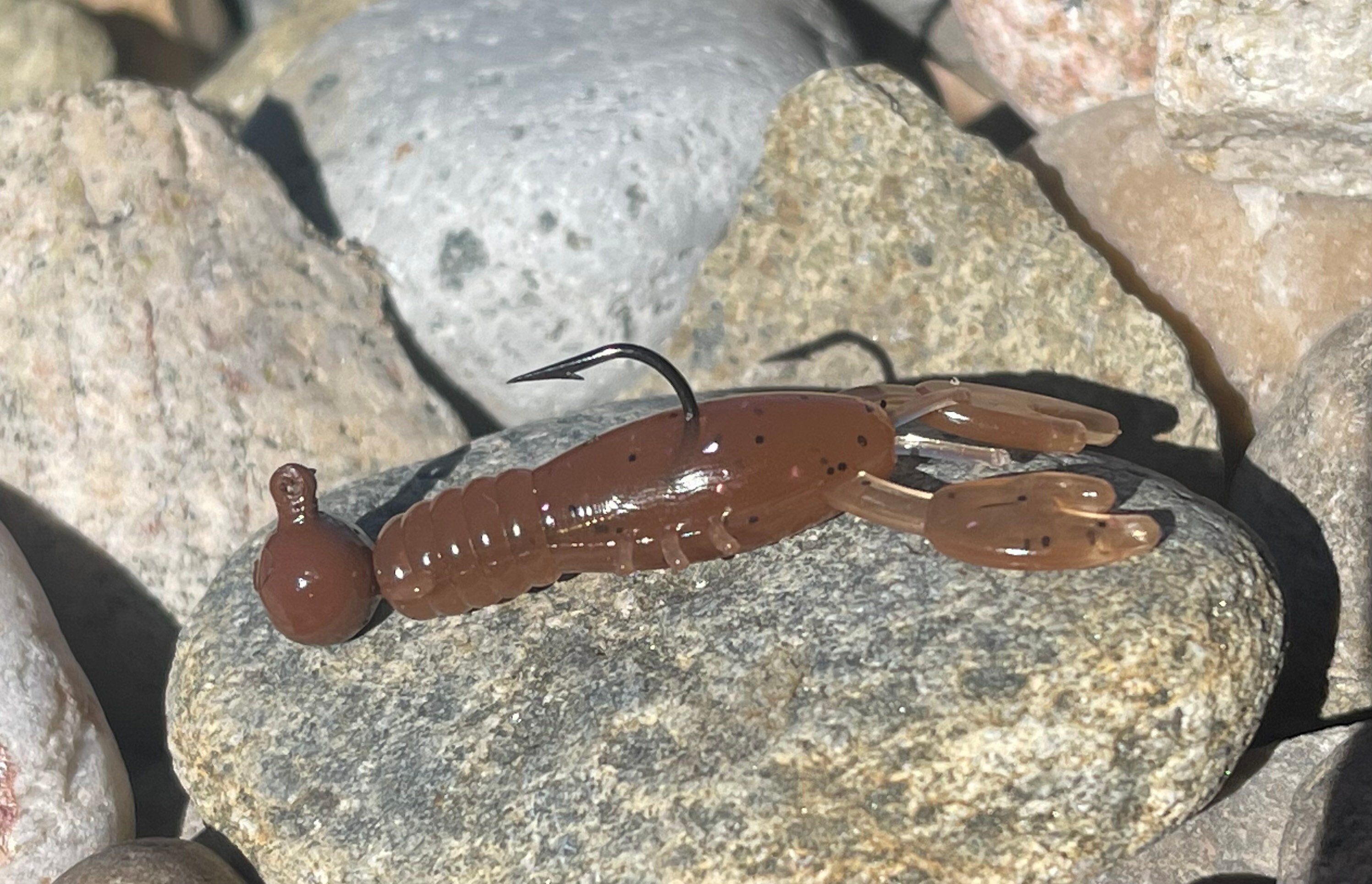 1.5" Crawdad in Brown Craw (5 Crawdads & 3 Color Matched Jig Heads in 1 ...
