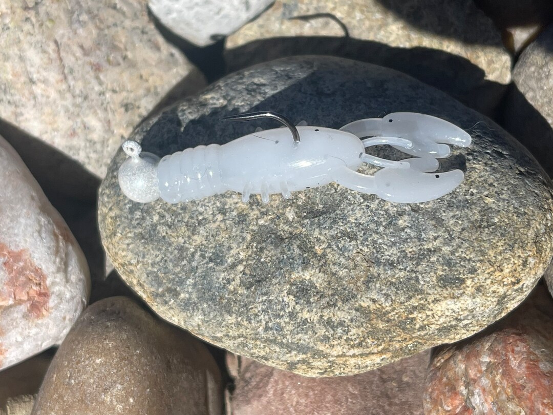 1.5 Crawdad in White 5 Crawdads & 3 Color Matched Jig Heads in 1/16 Oz ...