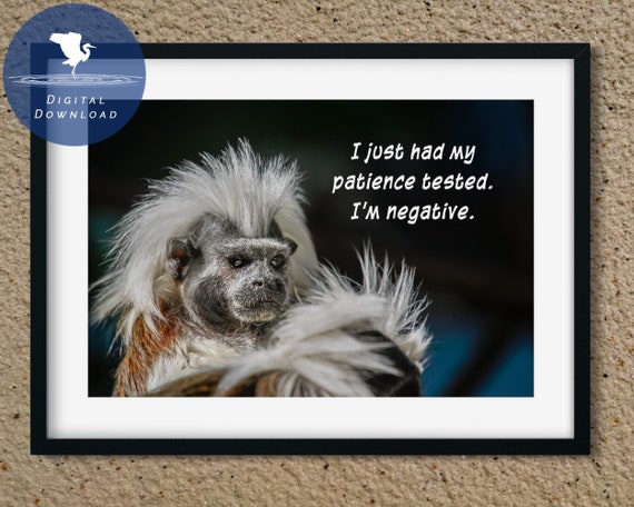 Patience Tested a frazzled monkey with humorous saying for | Etsy