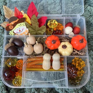 Fall Sensory Bin Autumn Sensory Bin Fall Harvest Fall Sensory Kit Fall ...