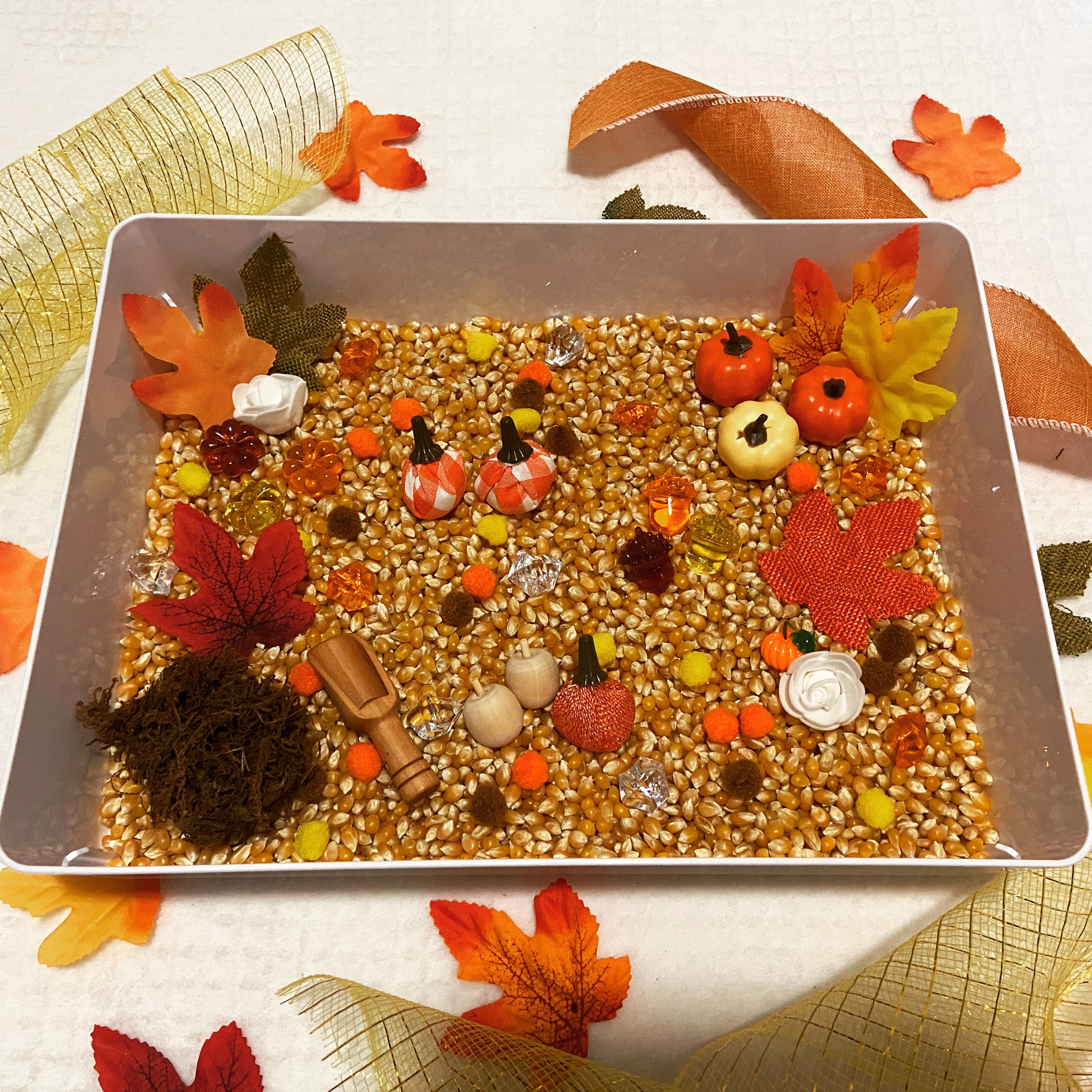 Fall Sensory Bin | Autumn Sensory Bin | Fall Harvest | Fall Sensory Kit ...