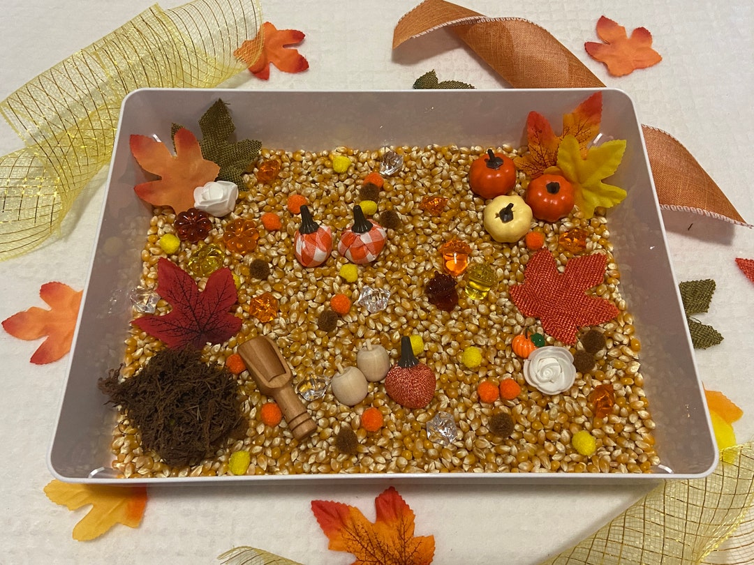 Fall Sensory Bin Autumn Sensory Bin Fall Harvest Fall - Etsy