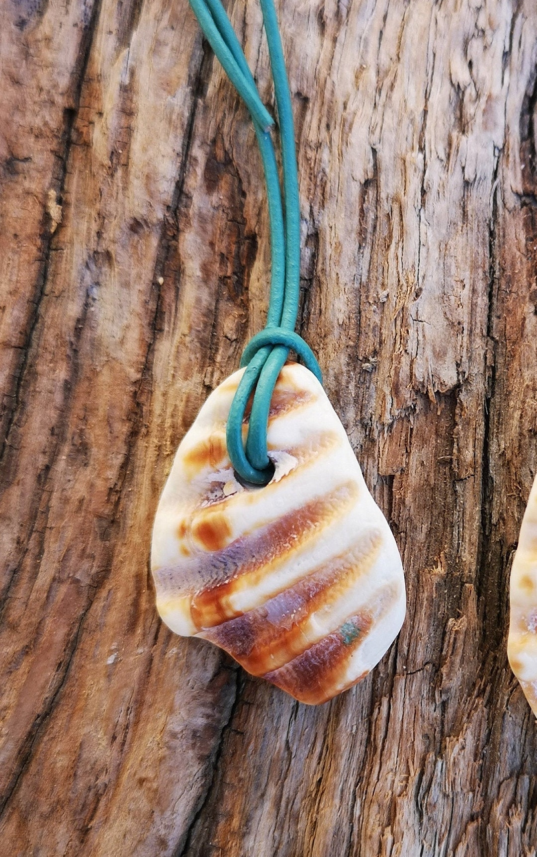 Real Shell Necklace, Natural Seashell Pendant, Real Shell Jewelry ...