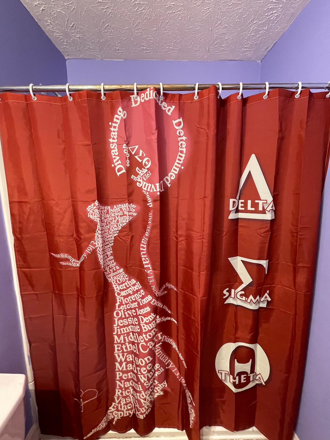 Delta Sigma Theta Shower Curtain - Etsy