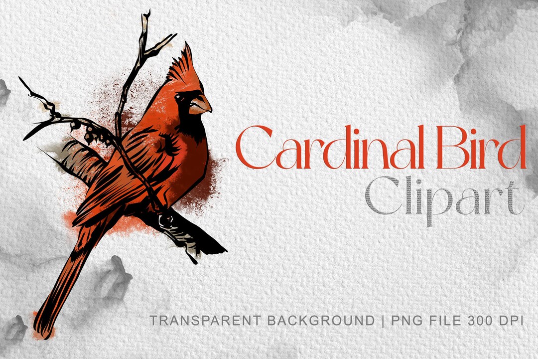 Cardinal Bird Clipart, Cardinal on Branch PNG, Christmas Clip Art, Red ...