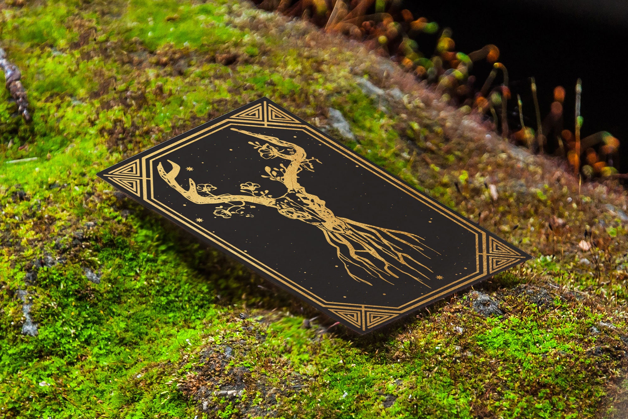 Oracle deck SVG oracle cards Mystic svg White Stag Skull | Etsy