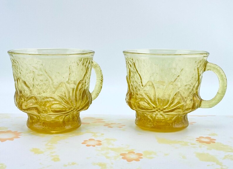 Pair of Vintage 70s Anchor Hocking USA Daisies Mugs, Rain Flowers ...