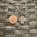 Gold Spinning Clover (type #1) Necklace With Cubic Zirconia – Anxiety ...