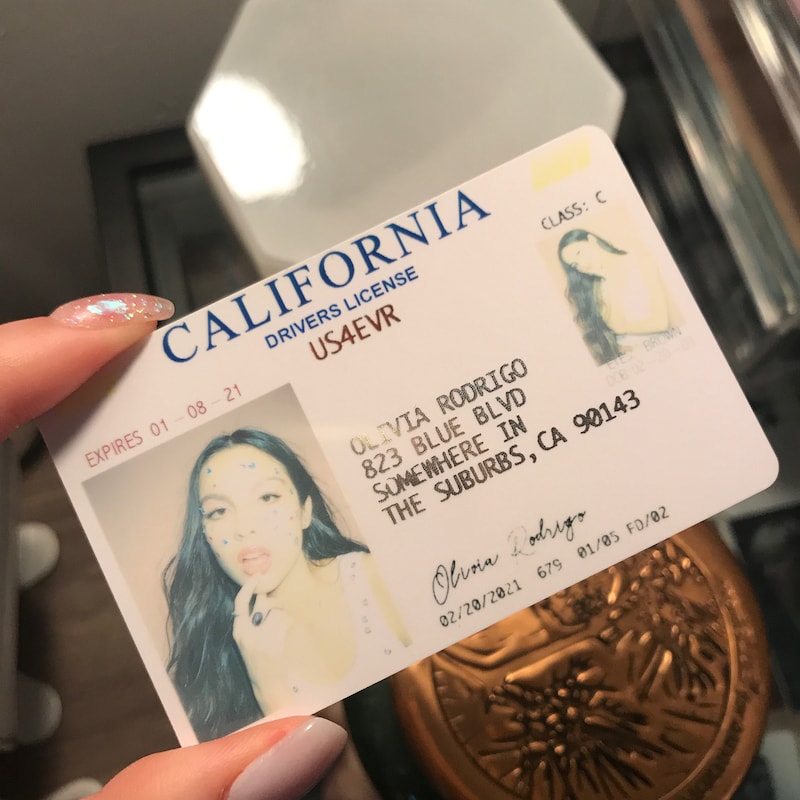 Spongebob Id Cards - Etsy