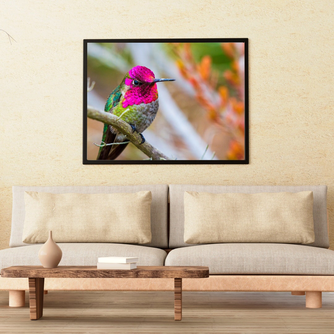 Hummingbird Fine Art Wall Print With Orange Leaves -- Anna's ...