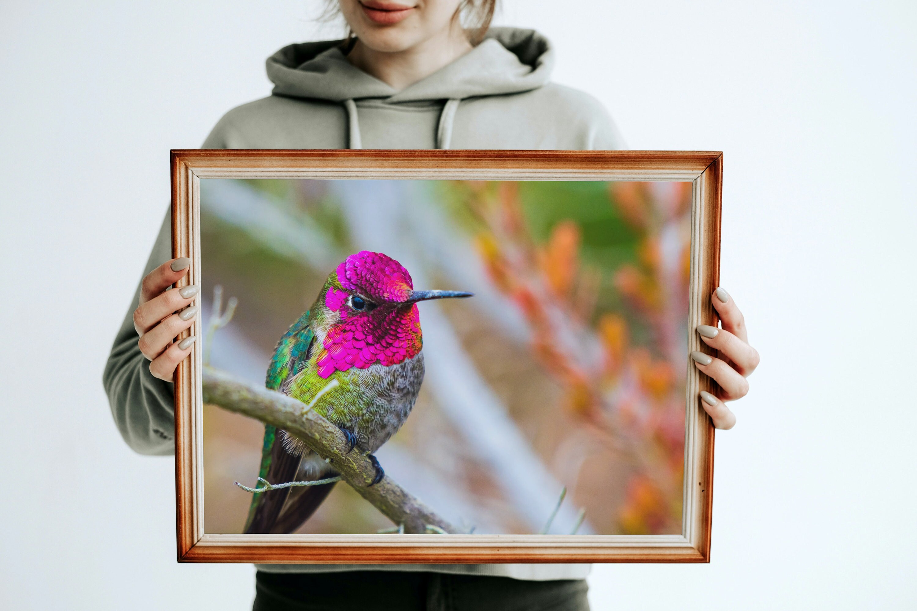 Hummingbird Fine Art Wall Print With Orange Leaves Anna's Hummingbird ...