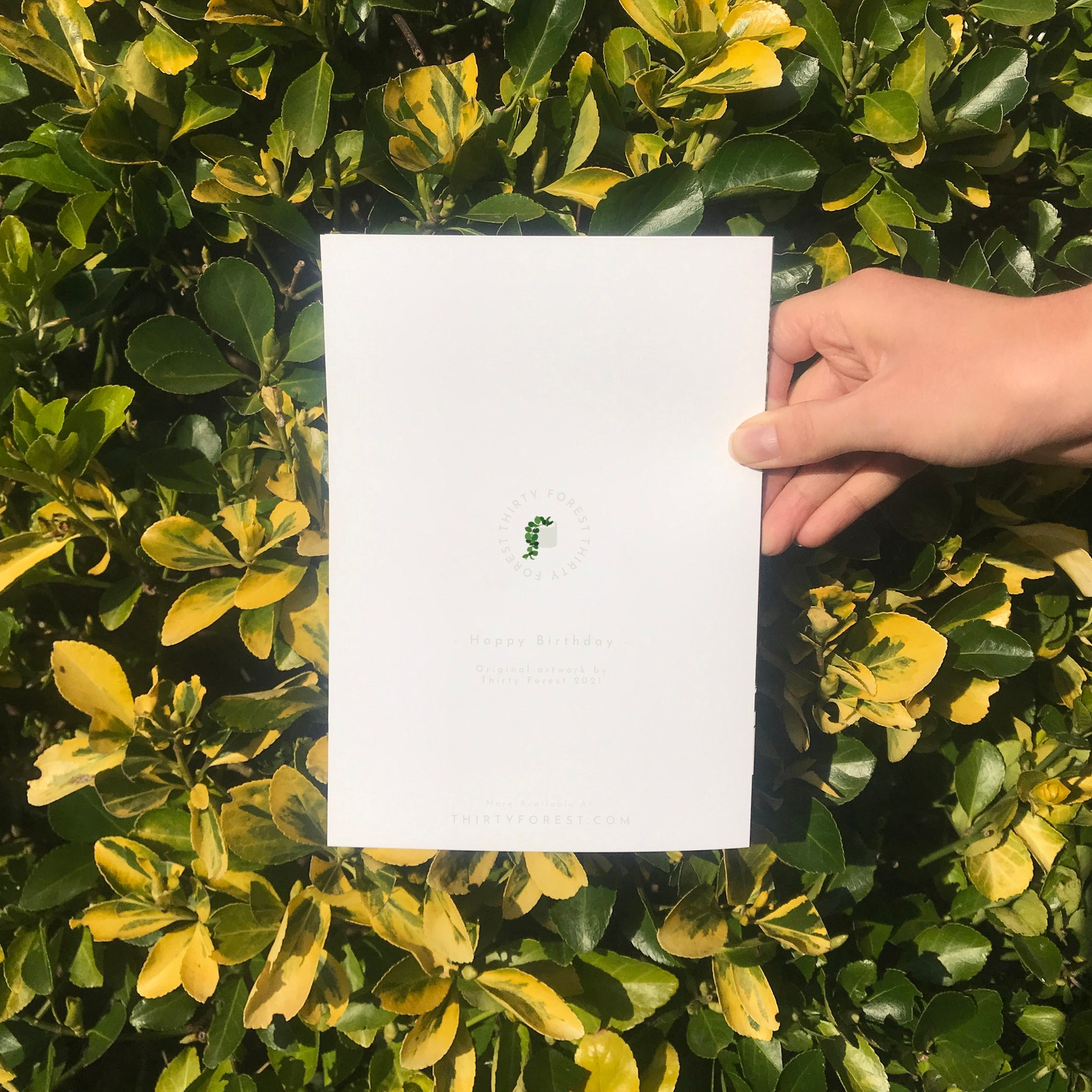 Violin Birthday Card Cello Instrument Card Music Composer | Etsy