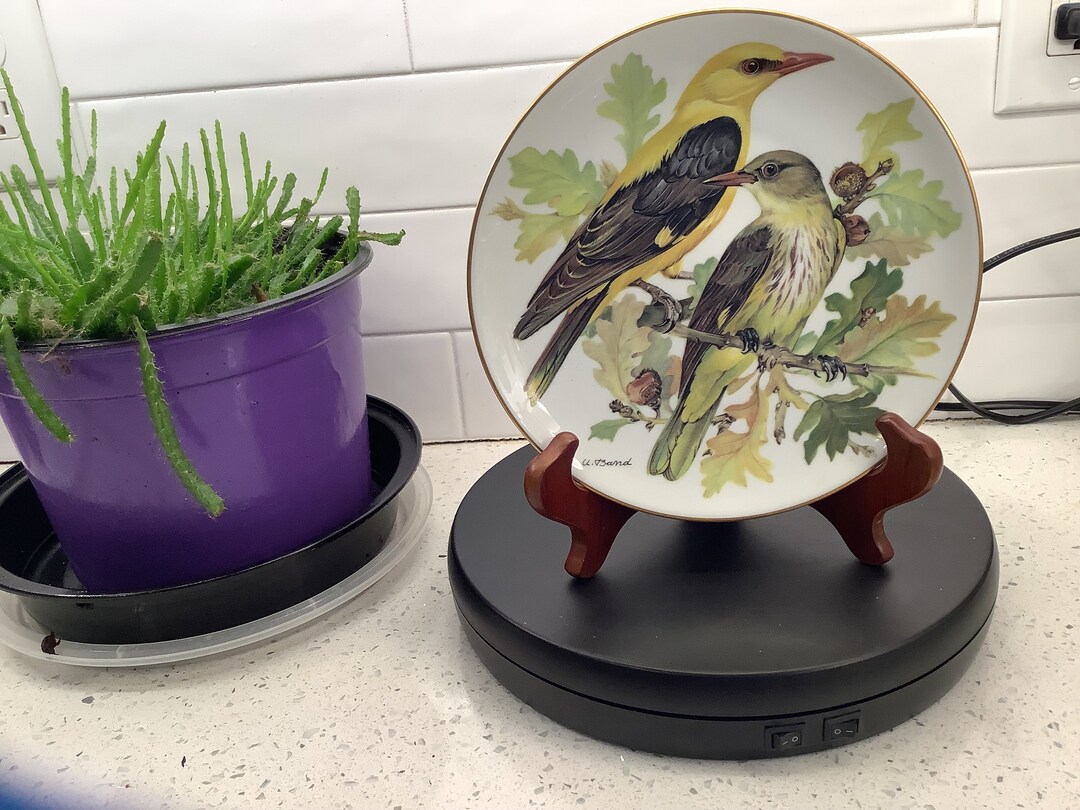 Signed “golden Oriole” China Plate by Ursula Band. - Etsy