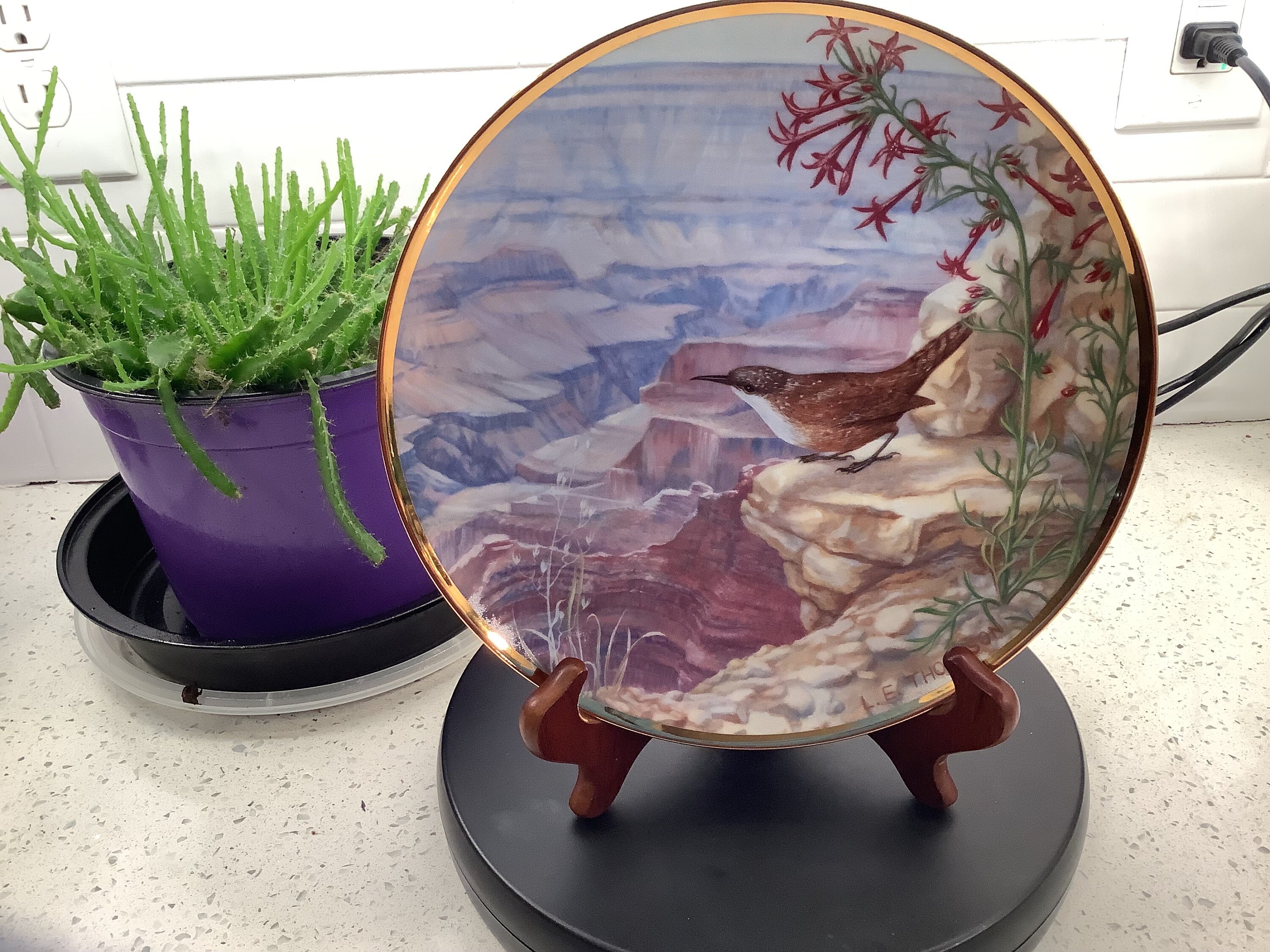Signed canyon Wren China Plate by Linda Thompson - Etsy