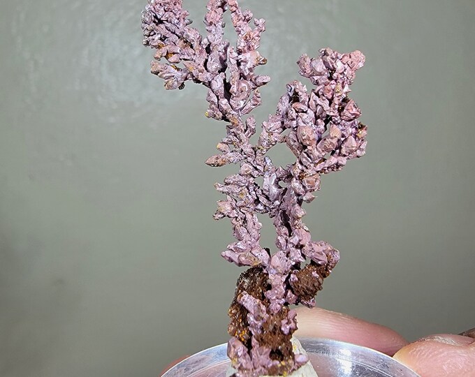 Native Copper Radiance - Unique Mineral Specimen - 5x3x1 Cm, Bounhas ...