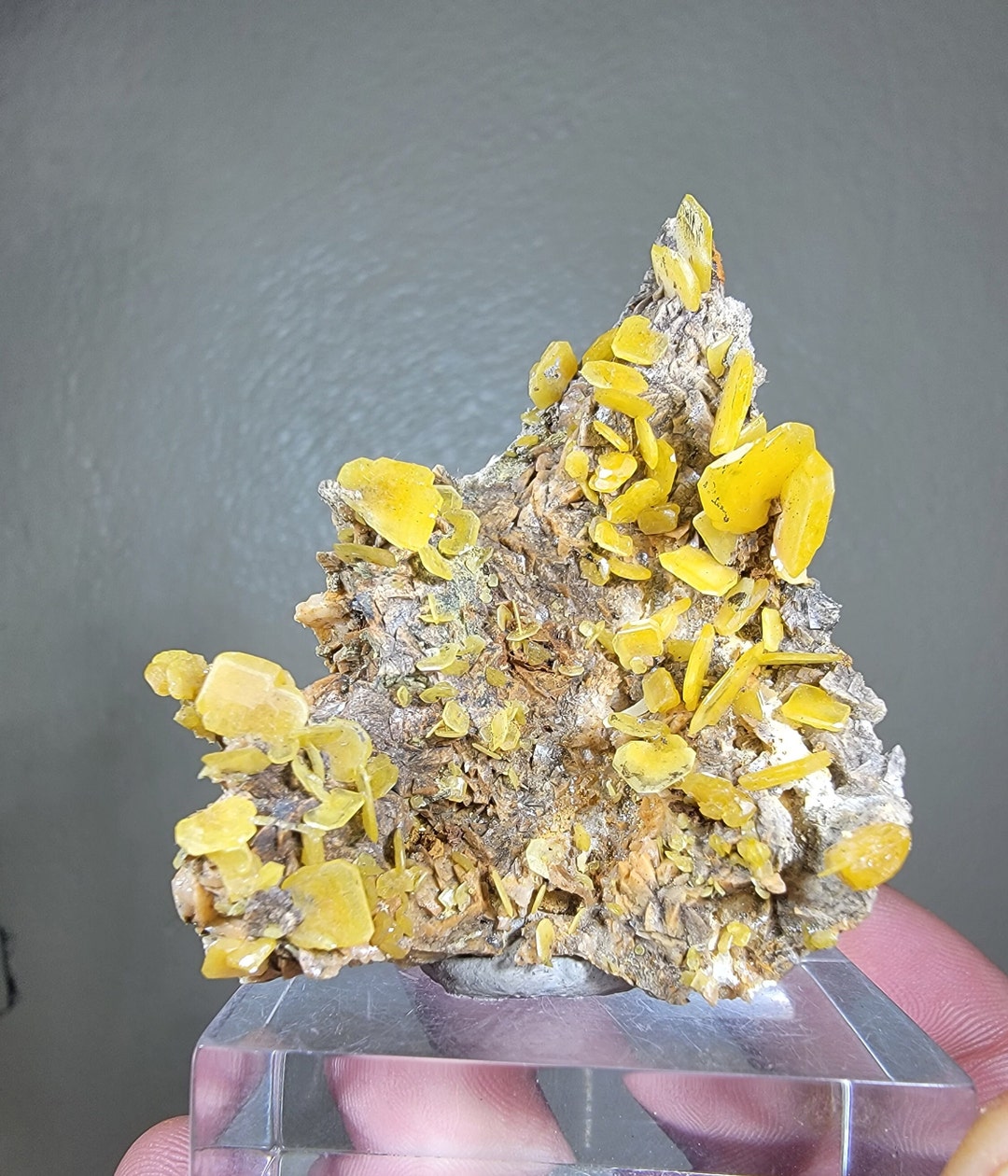 Striking Wulfenite on Dolomite Matrix From Touissit, Oujda, Morocco - Etsy