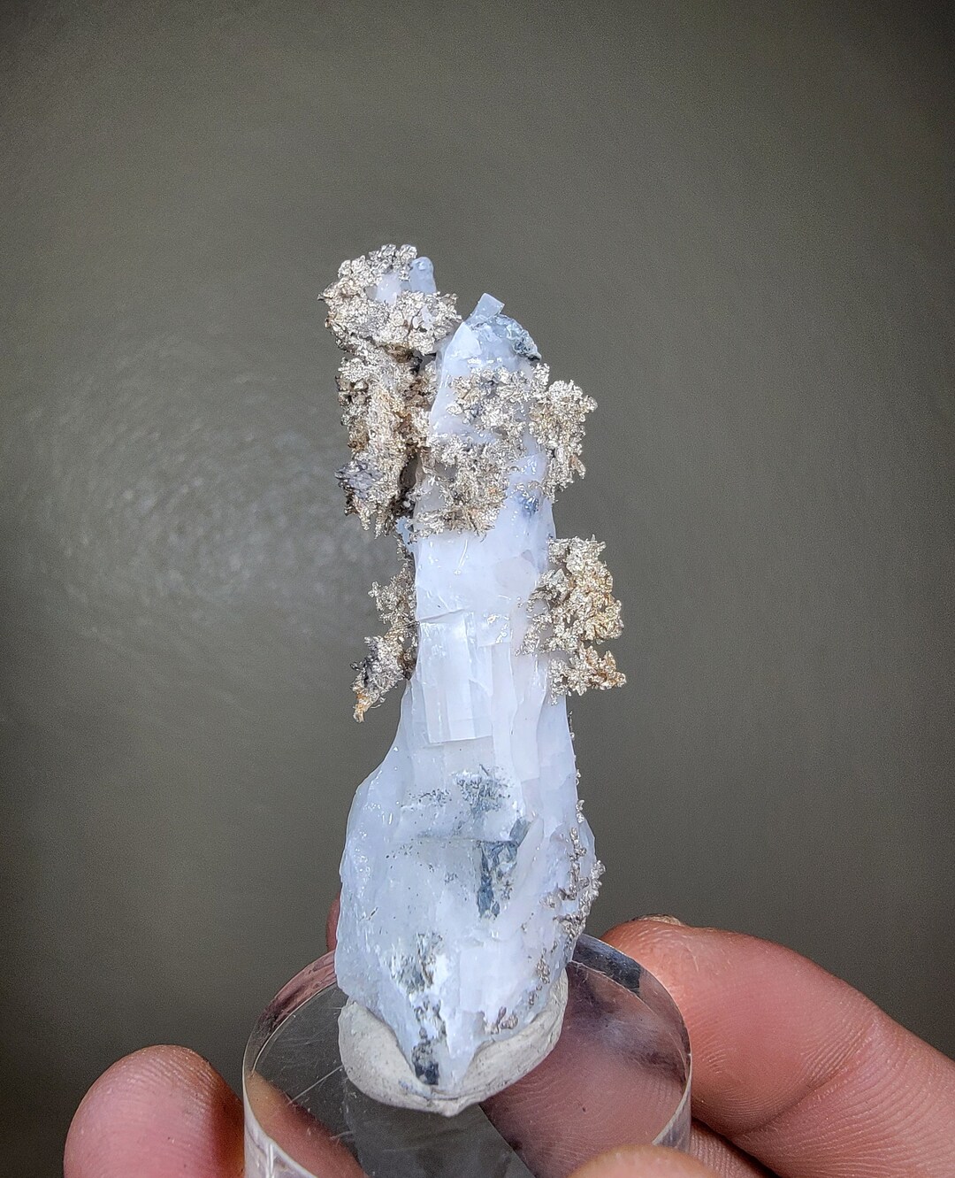 Dyscrasite Sliver on Calcite - Bouismas Mine, Bou Azzer, Morocco - 6×2. ...