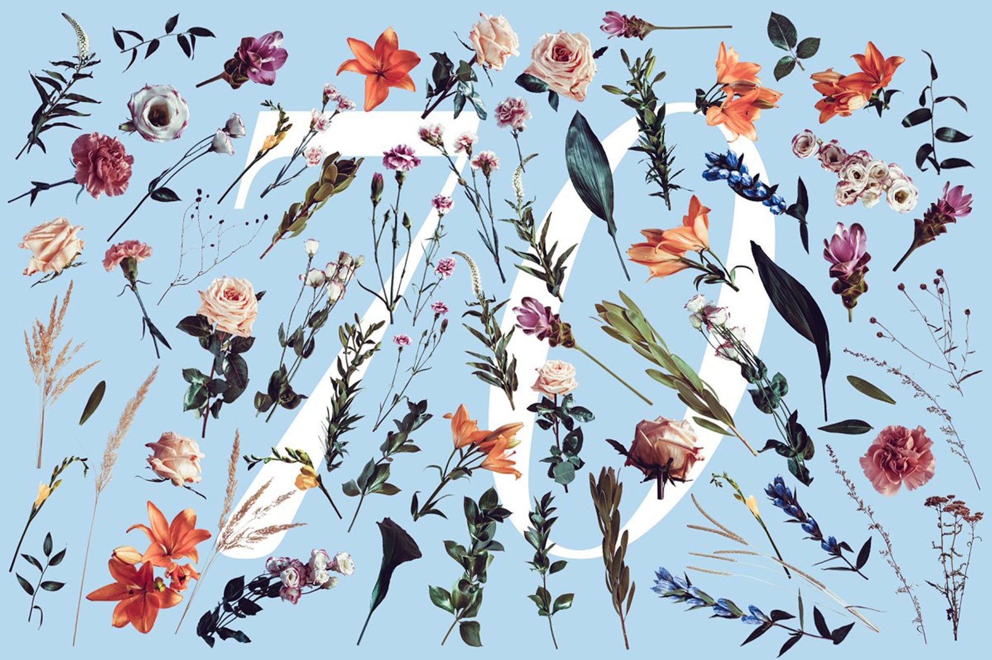 The Secret Garden • Floral Pack • Digital Clip Art • Photo Objects ...