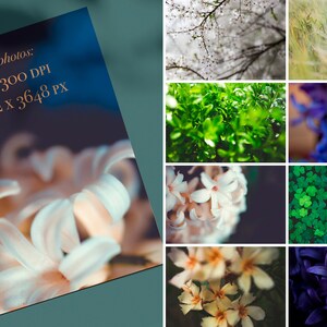 Photo Collection Background Flowers, Flower Photos, Abstract Photos ...