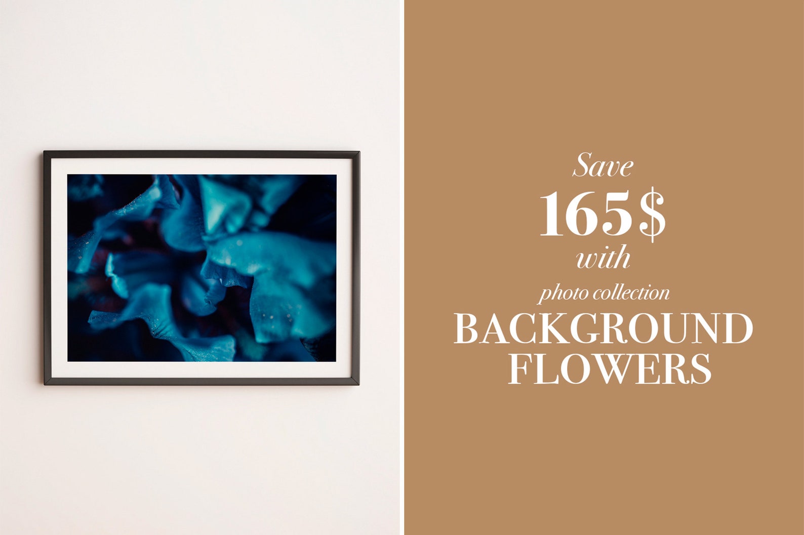 Photo Collection Background Flowers, Flower Photos, Abstract Photos ...