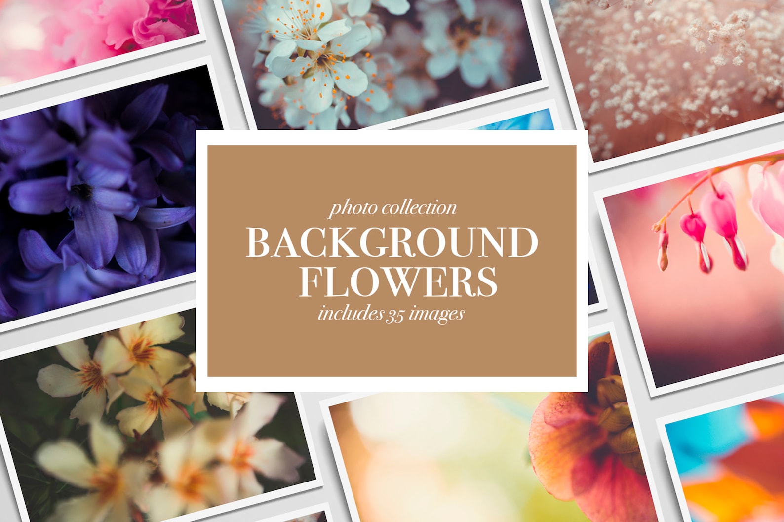 Photo Collection Background Flowers, Flower Photos, Abstract Photos ...